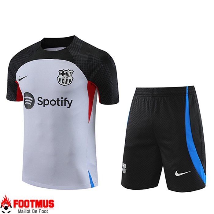 Creation Ensemble Training T-Shirts + Shorts FC Barcelone Gris 2023/ ...
